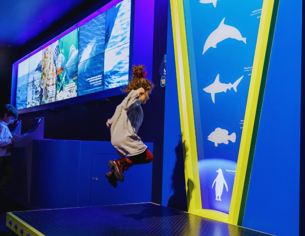 Atlantis Aquarium Madrid 12/05