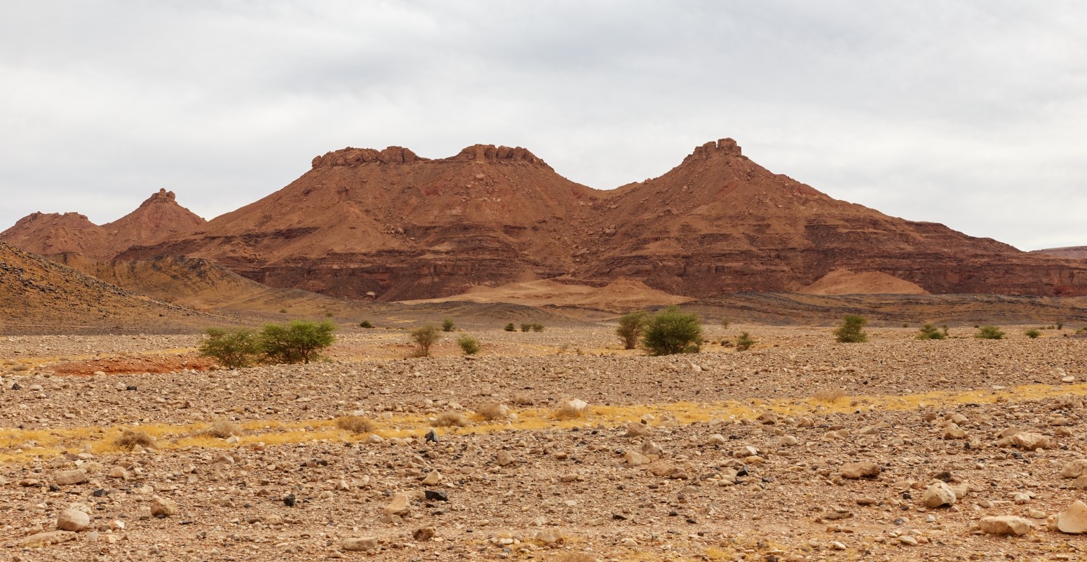 Los Reyes Magos y el Sahara